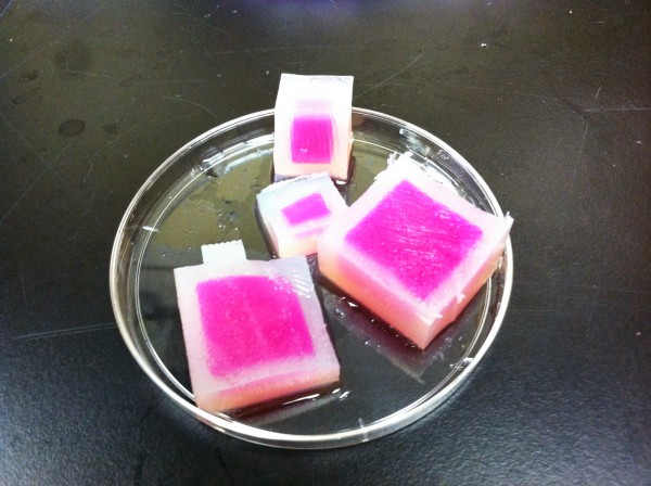 Diffusion, Active Transport and Osmosis: Grade 9 Understanding for IGCSE Biology 2.15 2.16 | PMG ...