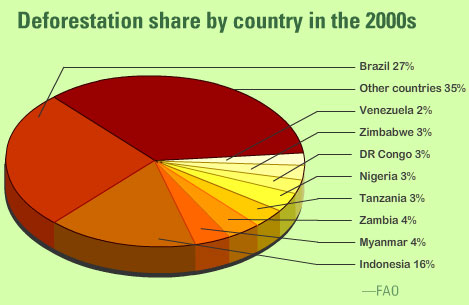 Deforestation: Grade 9 Understanding for IGCSE Biology 4.18B | PMG Biology
