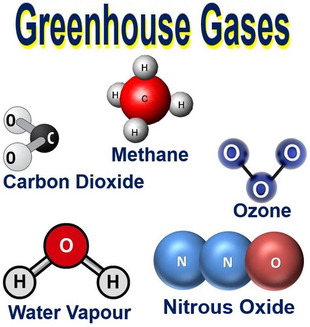 Greenhouse Effect: Grade 9 understanding for IGCSE Biology 4.13 4.14 4. ...